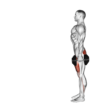Beinstrecker Muskel trainieren: Top 4 Übungen (inkl. Bilder + Videos)