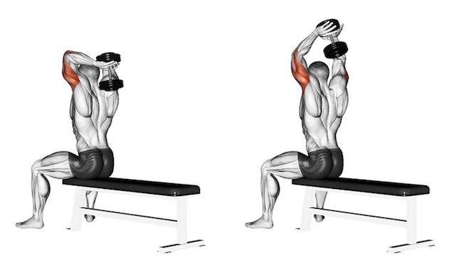 Die besten Trizeps Übungen für zuhause: Top 10 (inkl. Bilder + Videos)