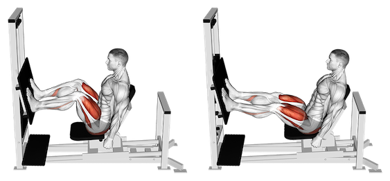Beinstrecker Übungen zuhause + Studio (inkl. Bilder + Videos)