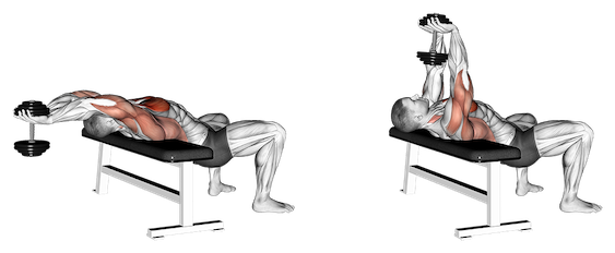 Brusttraining mit Hanteln: Top 5 Übungen (inkl. Bilder + Videos)